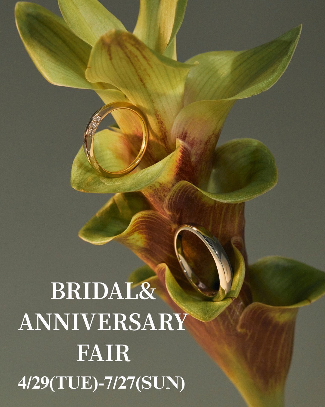 ☆ENEY BRIDAL＆ANNIVERSARY FAIR☆4月29日(祝・火)スタート！！ – ENEY公式オンラインストア