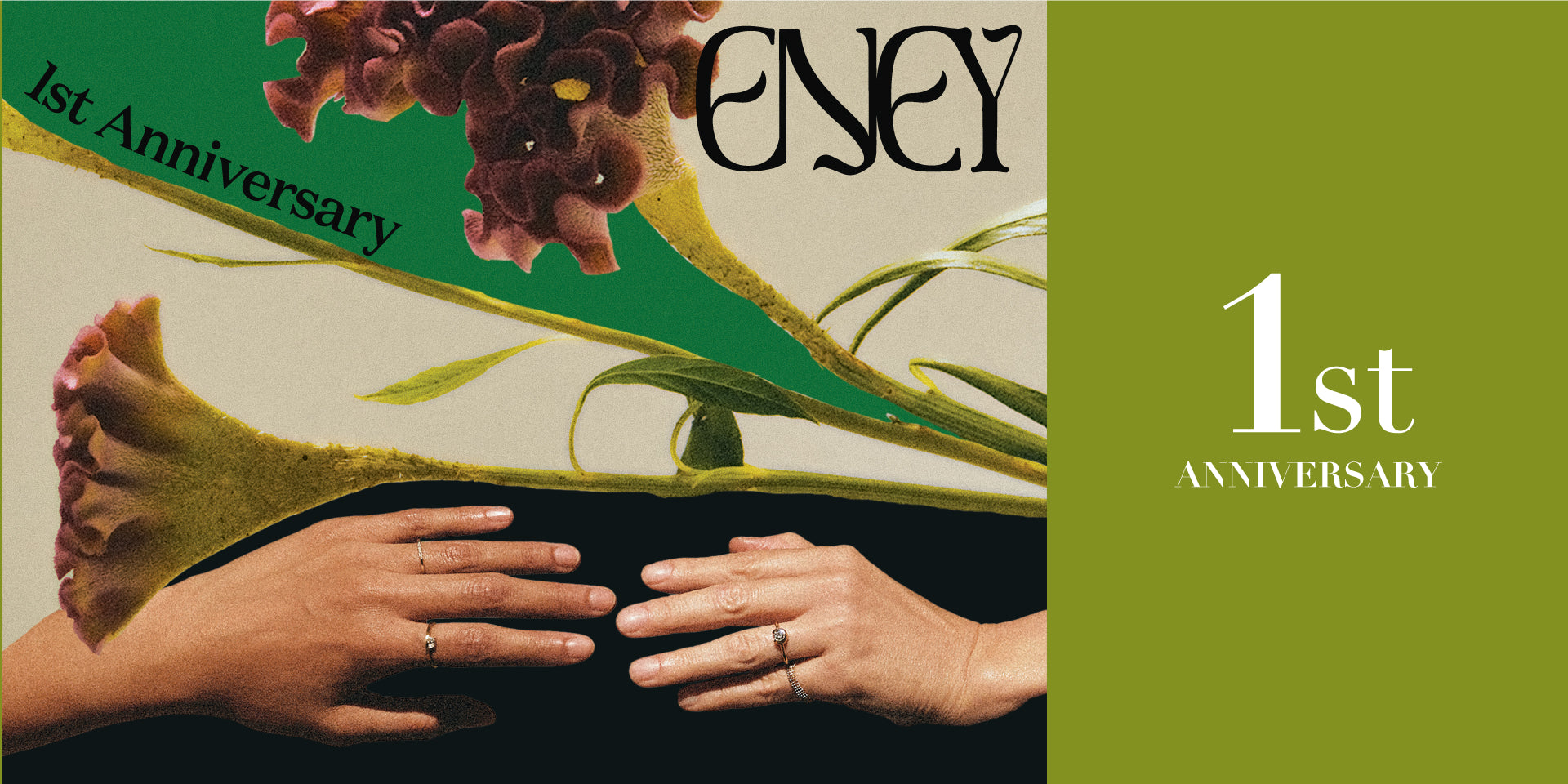 member – ENEY公式オンラインストア